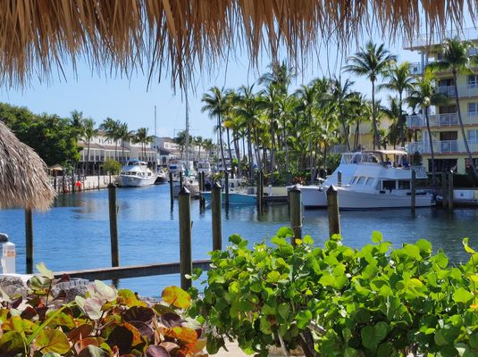 Iles Keys, trésors écologiques de la Floride - Voyager Magazine